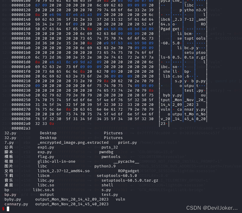 关于ret2libc 的泄露 puts(64位)+write(32位）_ret2libc puts-CSDN博客