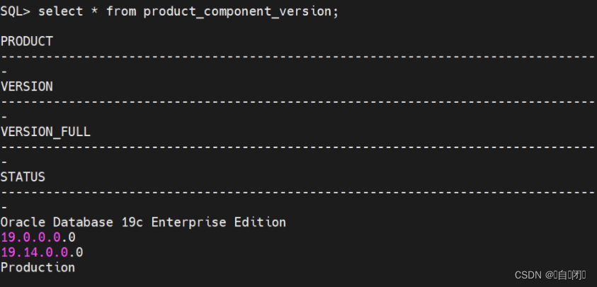 ORACLE19c单机静默安装及补丁升级_oracle补丁安装-CSDN博客