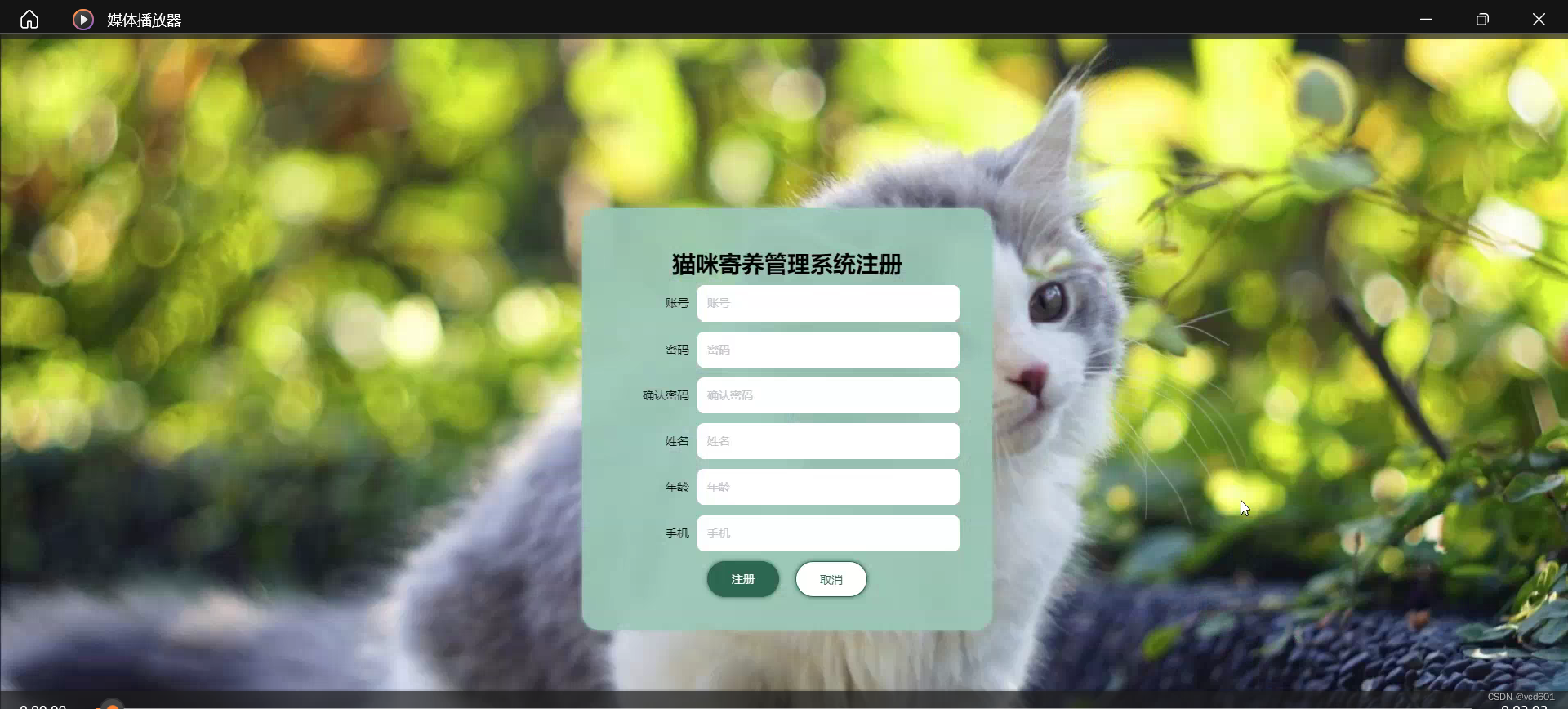 Ssmphpnodepython猫咪寄养管理系统 Csdn博客
