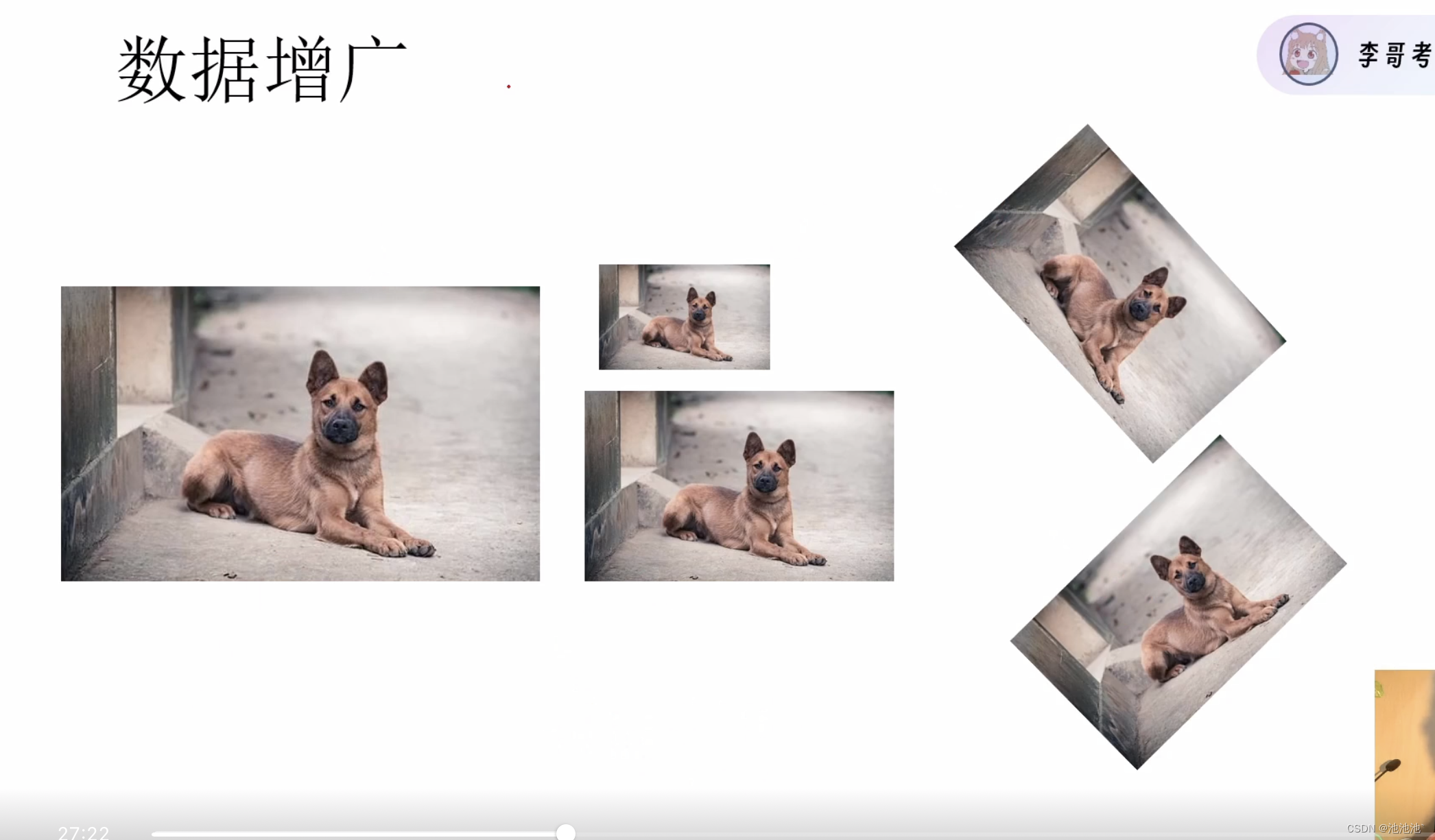 深度学习实战（三）—— 图片分类任务_图像分类任务实验-CSDN博客