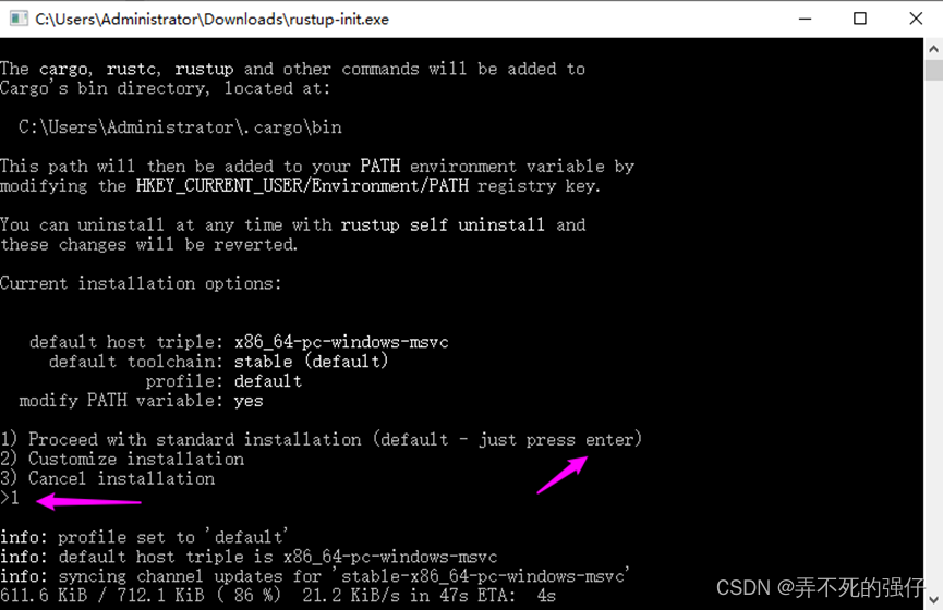 windows安装rust后，【rustc不是内部或外部命令，也不是可运行的程序】问题解决_rustup' 不是内部或外部命令,也不是可运行的程序 或批处理文件。-CSDN博客