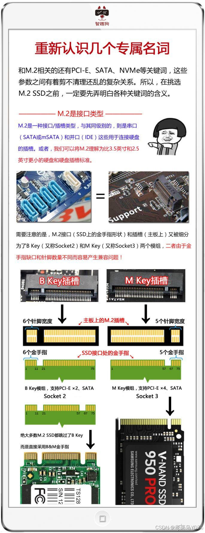 NVMe SSD是个啥？5张图保你弄明白SSD那些事_mv固态硬盘标签信息图解-CSDN博客