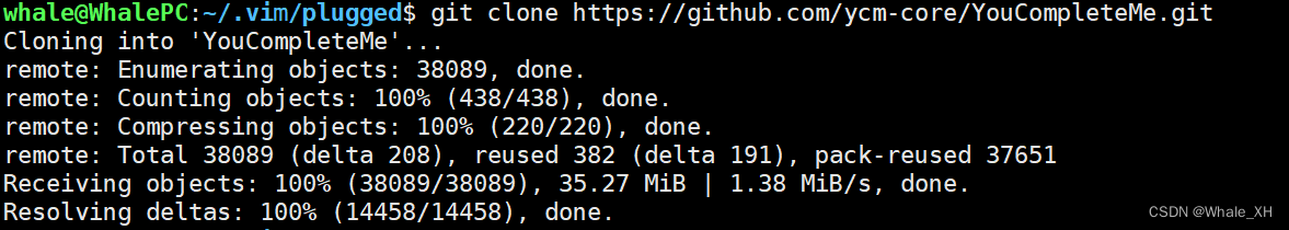 Ubuntu22.04安装vimplus插件及错误解决方法_ubuntu22.04 vim安装-CSDN博客