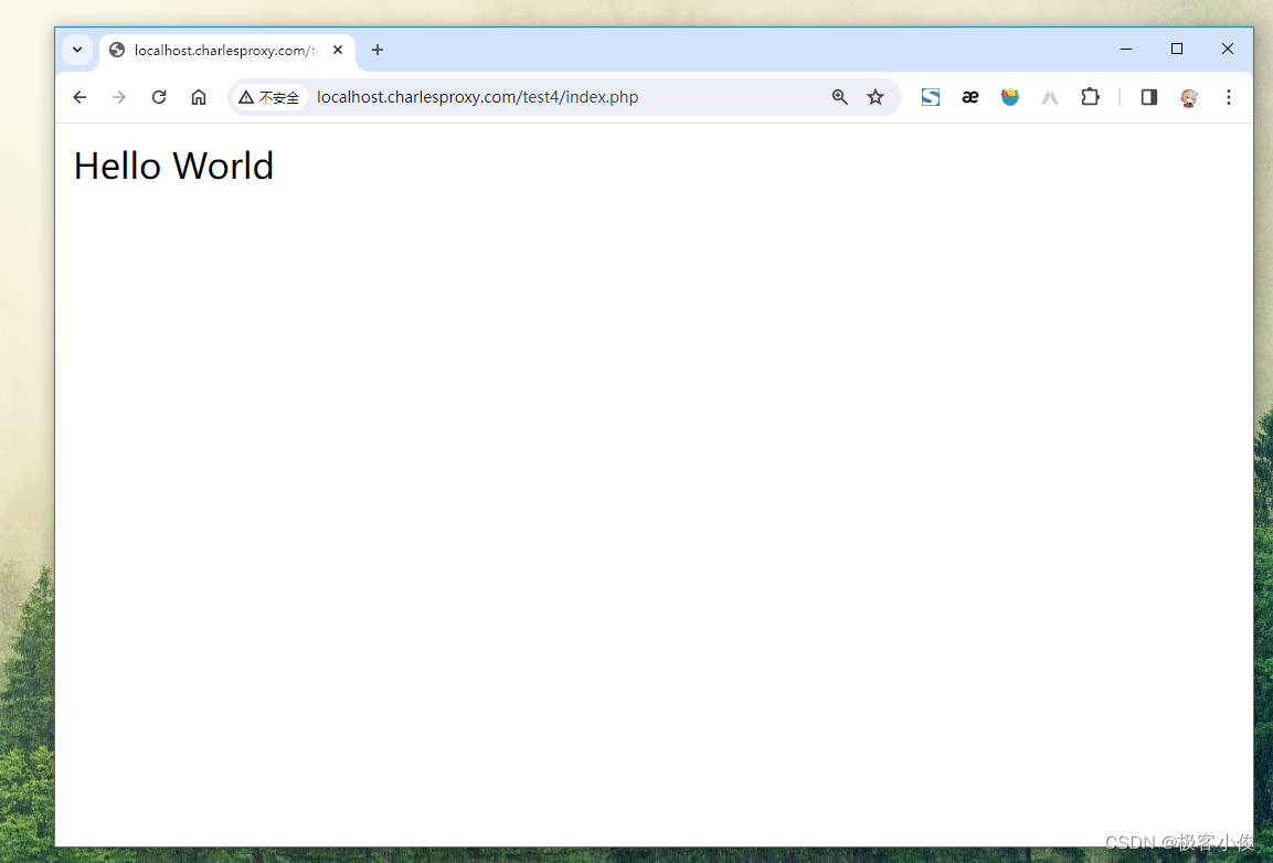 【一小时学会Charles抓包详细教程】抓包原理与Charles本地localhost抓包操作 (5)_charles localhost-CSDN博客