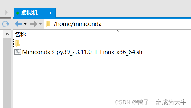 Windows与linux安装miniconda并启动python项目及指令python Miniconda Csdn博客