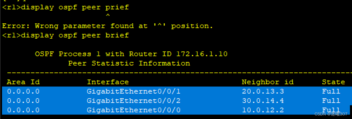 【IP组播】PIM-DM-CSDN博客