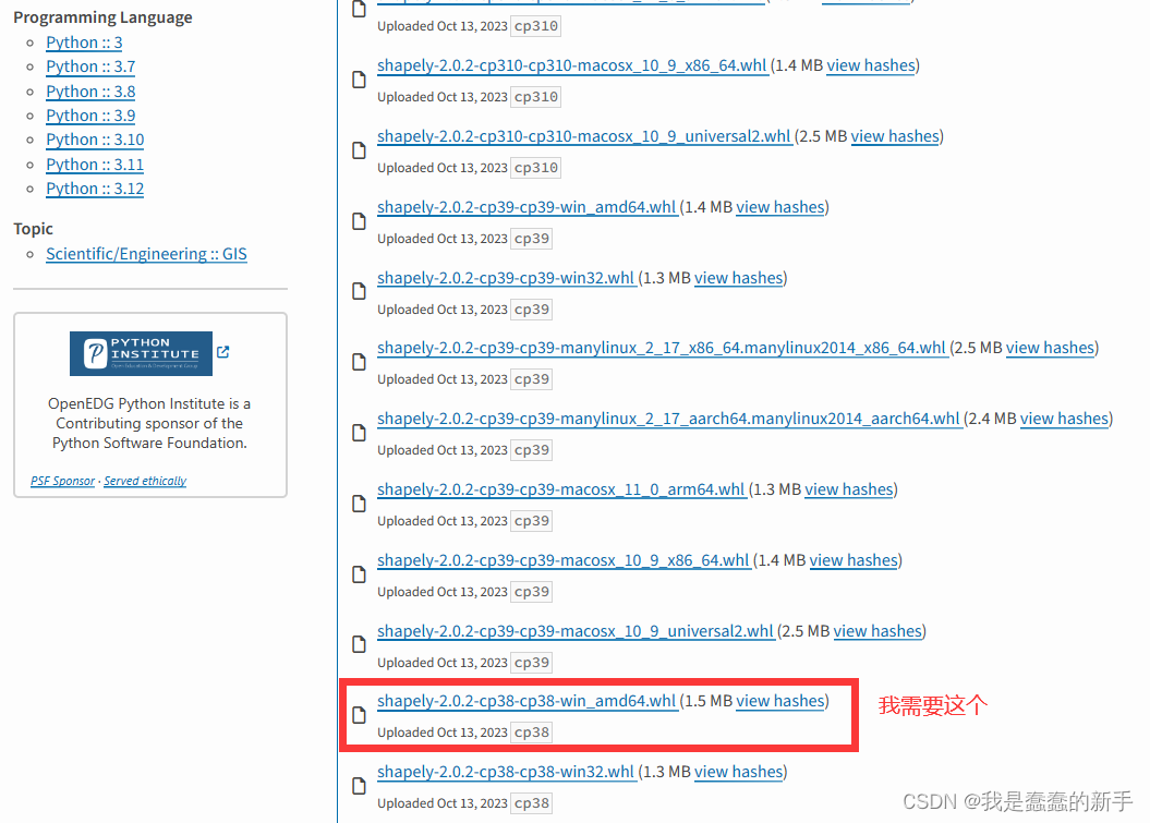 如何安装whl格式的python包以及安装在哪里_python下载的whl应该放在哪个目录-CSDN博客