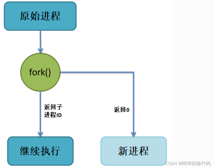 Linux基础知识点二 进程控制 Csdn博客 