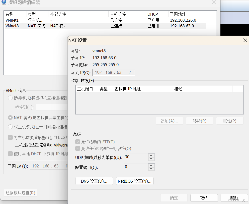 VMWare ping通外网_vmware net8-CSDN博客