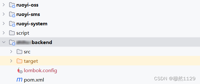 Lombok does not copy the annotation ‘org.springframework.beans.factory.annotation.Qualifier ...