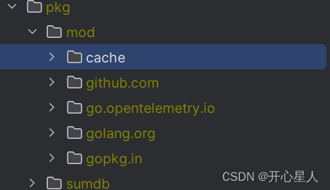 【Go】Go moudle、Go 环境变量、import path XXX should not have @version问题解决-CSDN博客