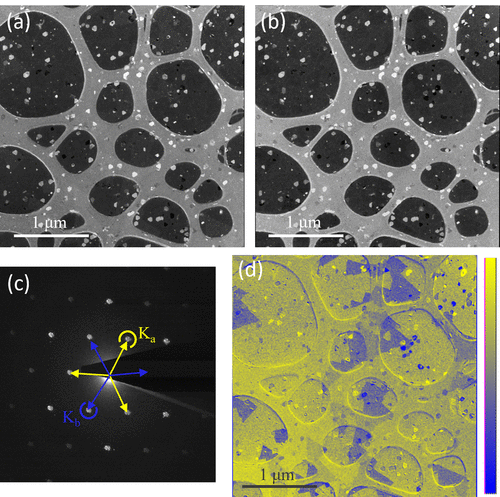【MoS2】原位扫描探针显微镜评估单层MoS2 FET中的缺陷_翻译direct assessment of defective regions inmonolay-CSDN博客