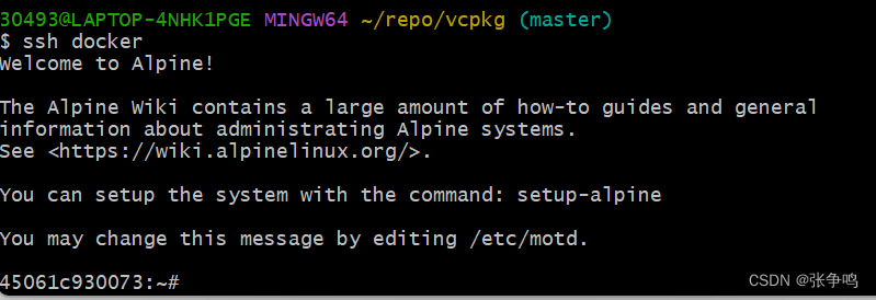 SSH Agent Forward on Windows_ssh 带有防火墙的服务器如何配置forwardagent-CSDN博客