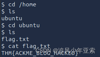 【THM】Vulnerability Capstone（漏洞顶点）-初级渗透测试-CSDN博客