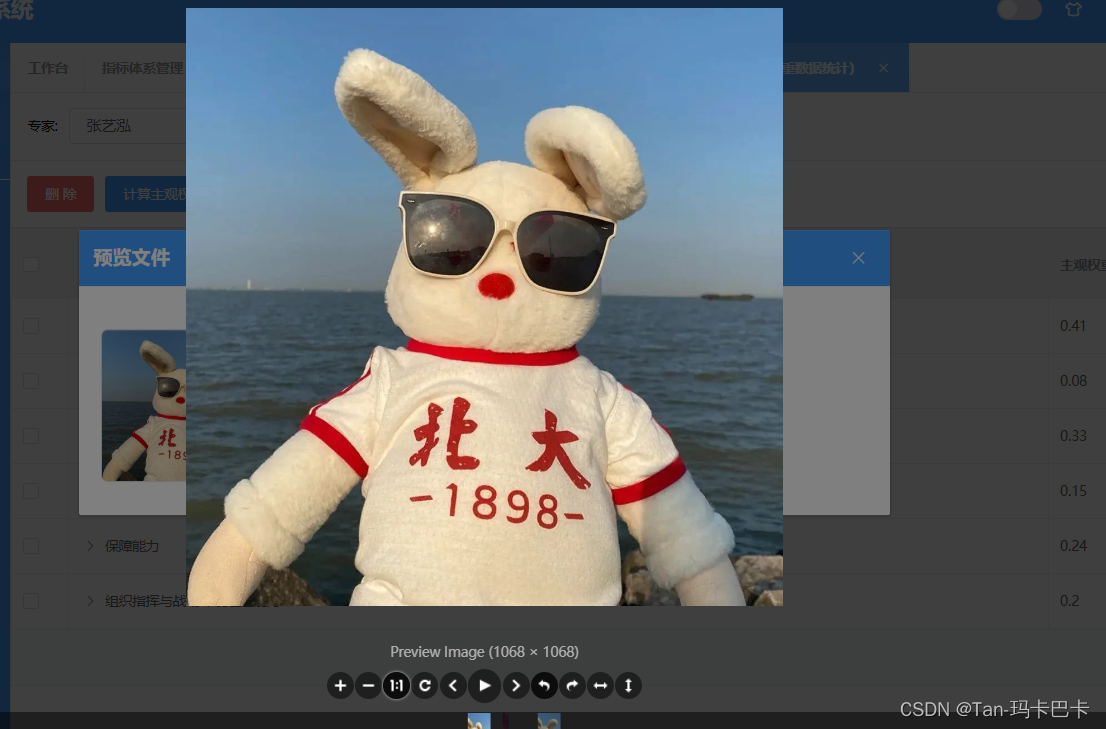 前端利用插件实现图片预览功能（v Viewer）前端图片预览插件 Csdn博客