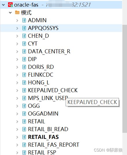 DBeaver新建oracle数据库连接后，发现oracle模式下面都是? 带数字 如：? 1006286403_dbever 连接oracle数据库模式下全部显示?数字-CSDN博客