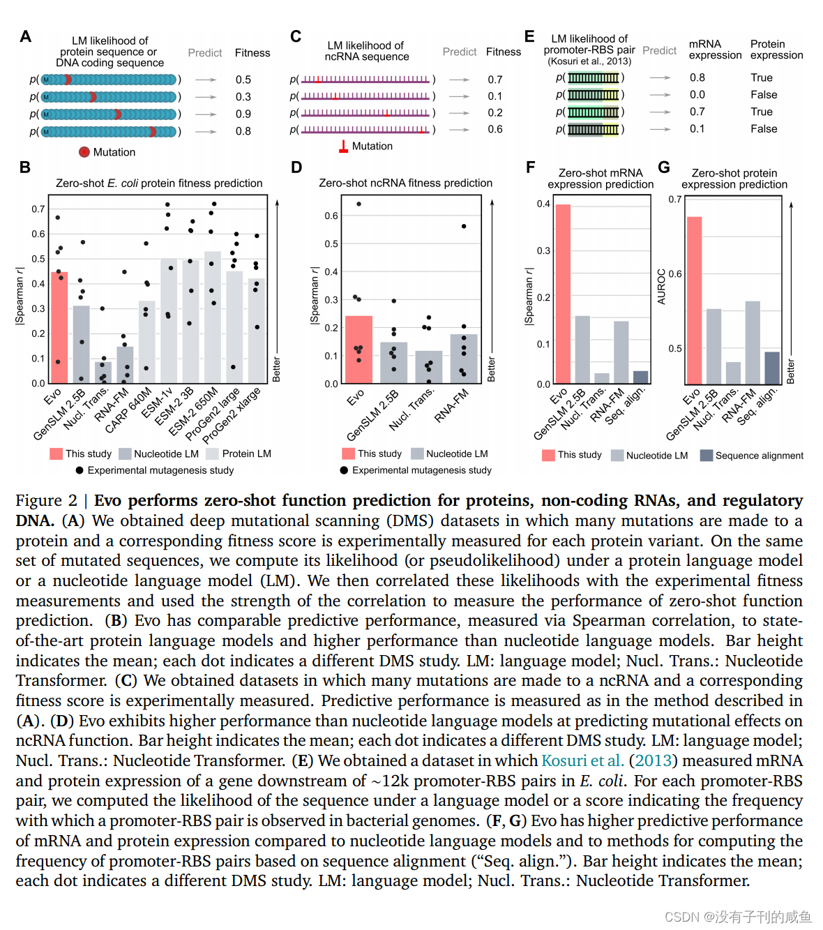 论文阅读笔记(三)——EVO:Sequence modeling and design from molecular to genome scale with Evo-CSDN博客