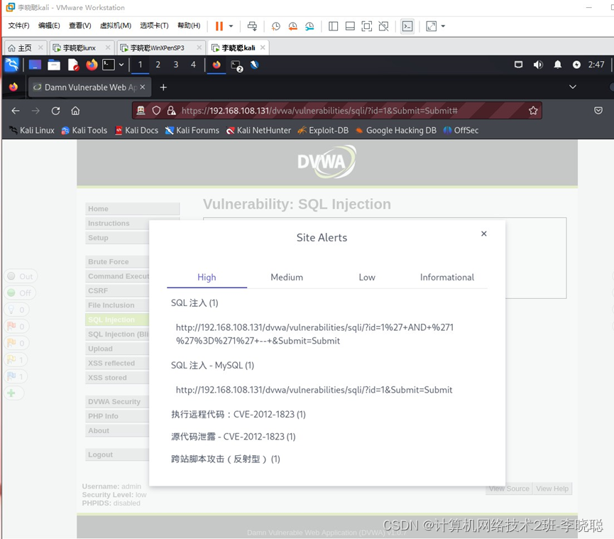 漏洞扫描技术_zaproxy-CSDN博客
