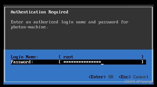 vCenter6.7开启文件上传和ssh功能_vcenter ssh进去是command-CSDN博客