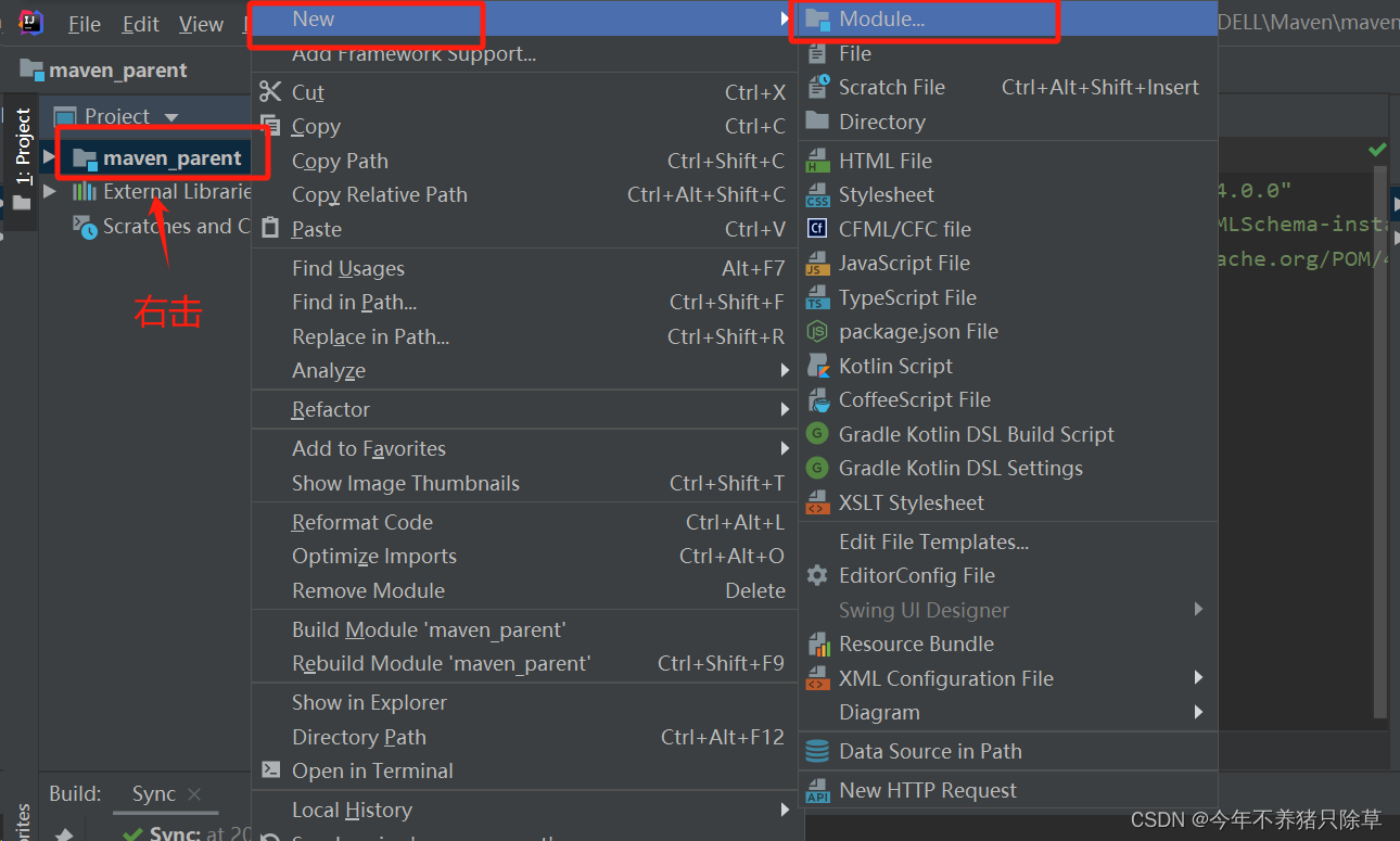 如何使用Maven创建多模块项目_maven创建多个module的工程-CSDN博客
