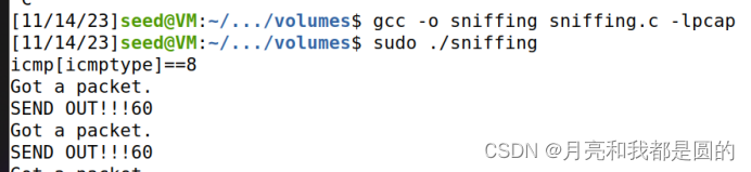 网络攻防--嗅探与欺骗_sniff and spoof python代码改变原地址-CSDN博客