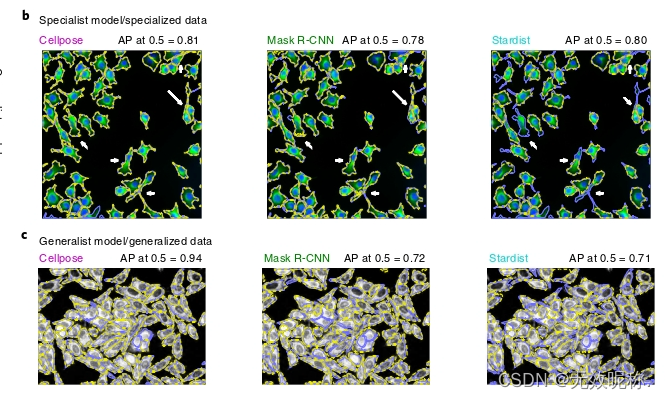 Cellpose论文和项目结构初探-CSDN博客