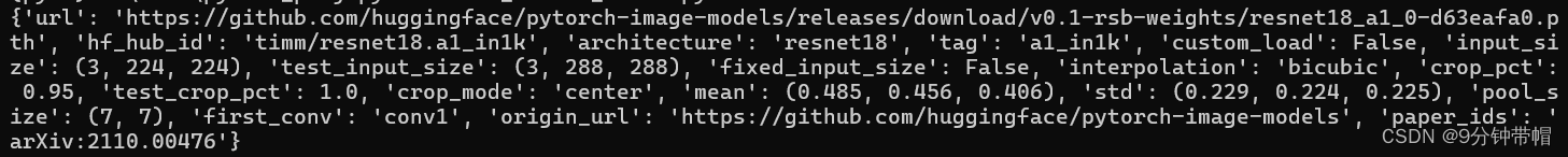 python_timm手动下载模型_timm 模型下载-CSDN博客