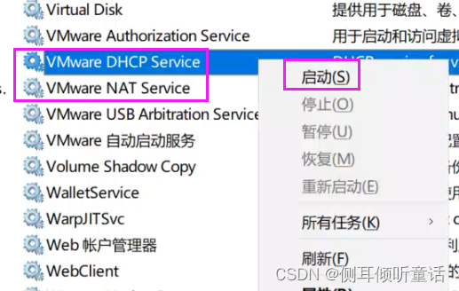 VMware虚拟机网络连接失败：No route to host_有一个虚拟机no route to host-CSDN博客