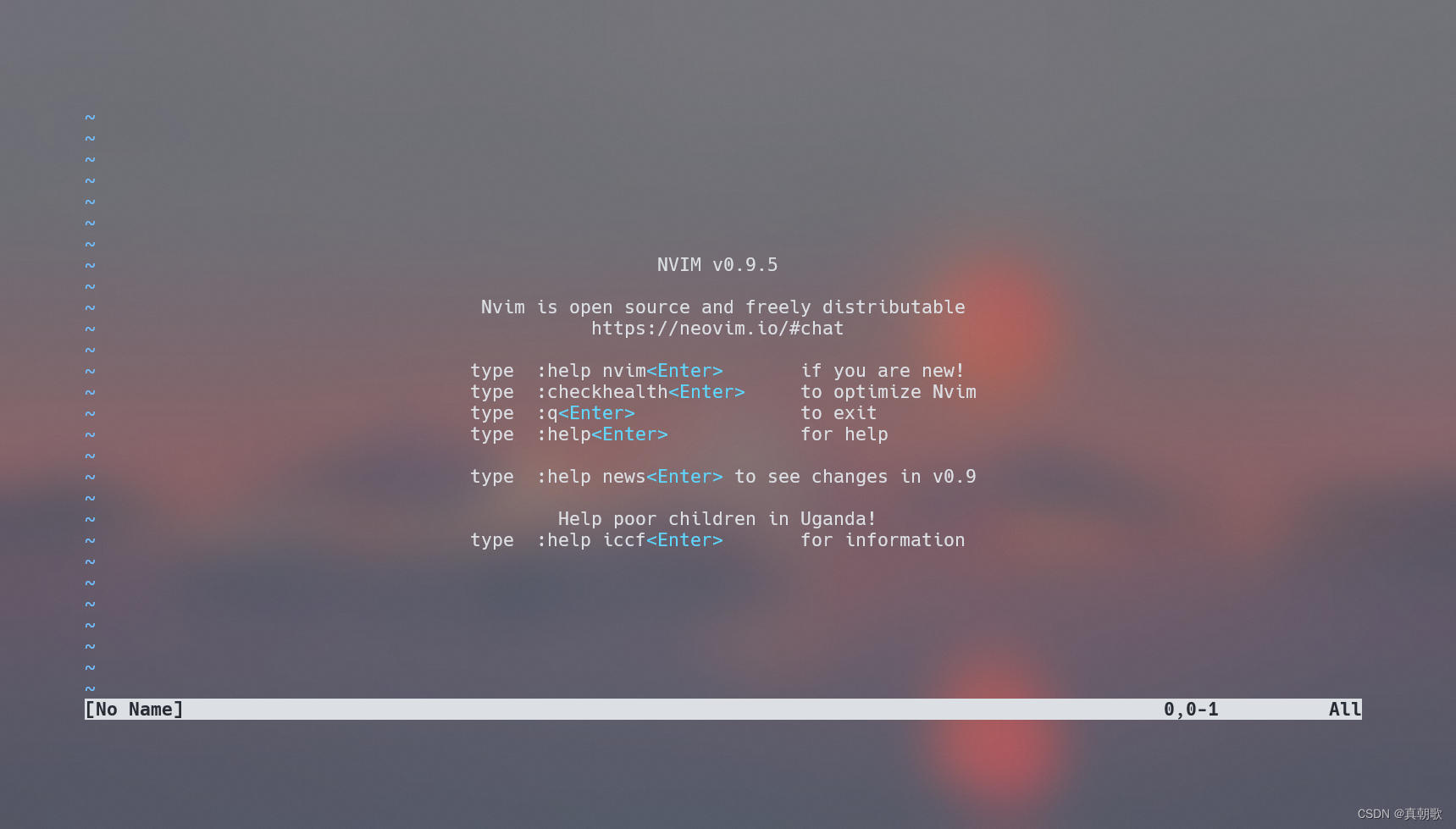 开发环境分享——AstroNvim（neovim的下载和Astronvim的配置）-CSDN博客