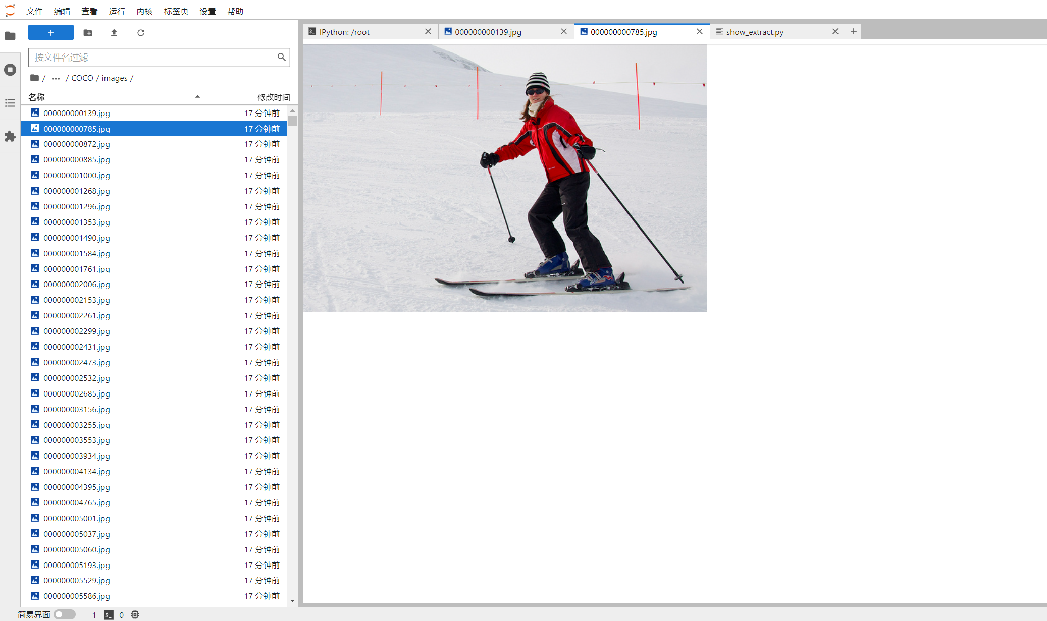 python提取COCO数据集中特定的类_python coco-CSDN博客