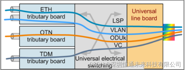 WDM和OTN之间有什么区别？_otn与wdm区别-CSDN博客