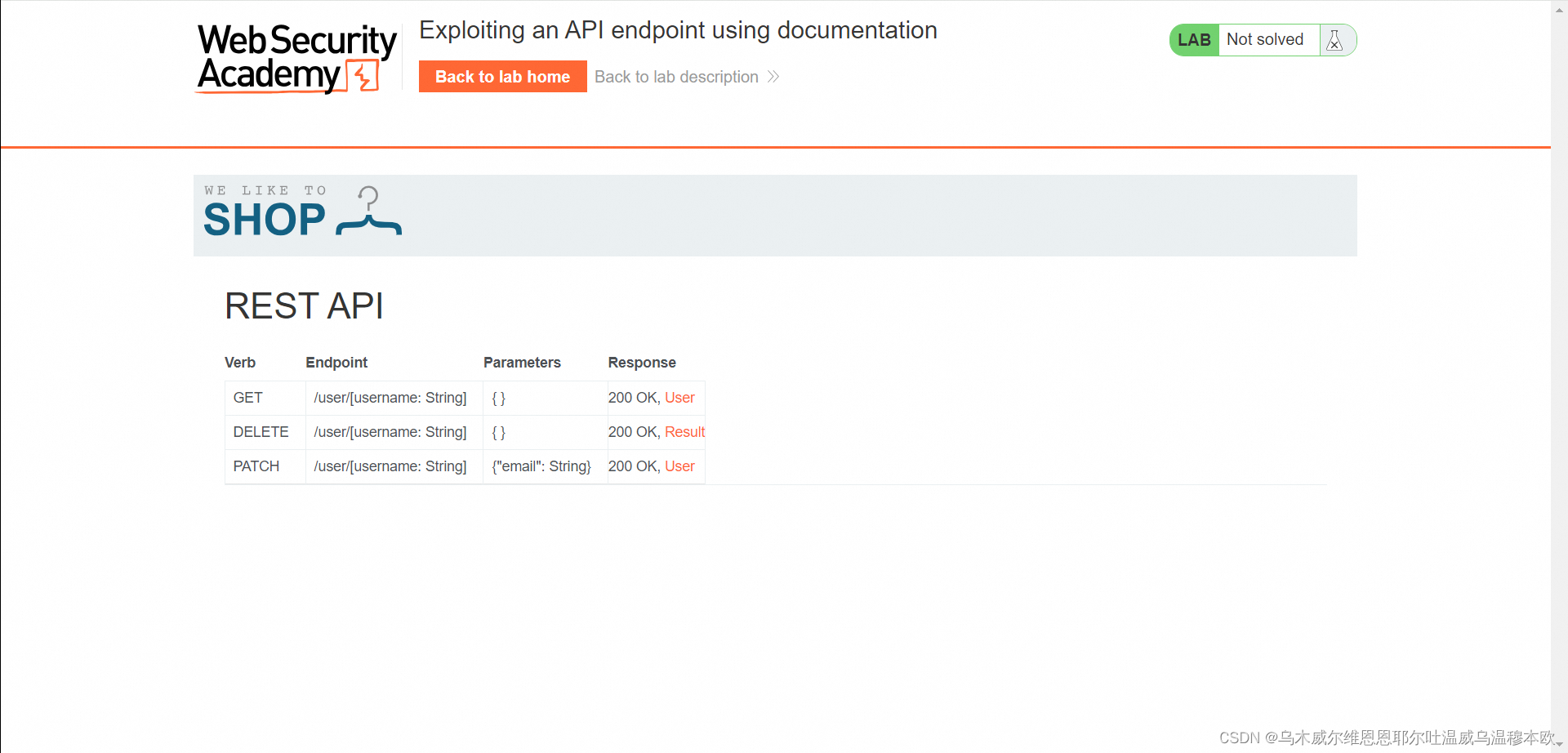 portswigger靶场API测试通关（上）_portswigger api-CSDN博客