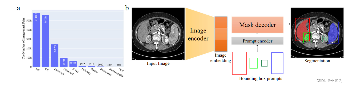 nature论文Segment anything in medical images_medsam: segment anything in medical images-CSDN博客