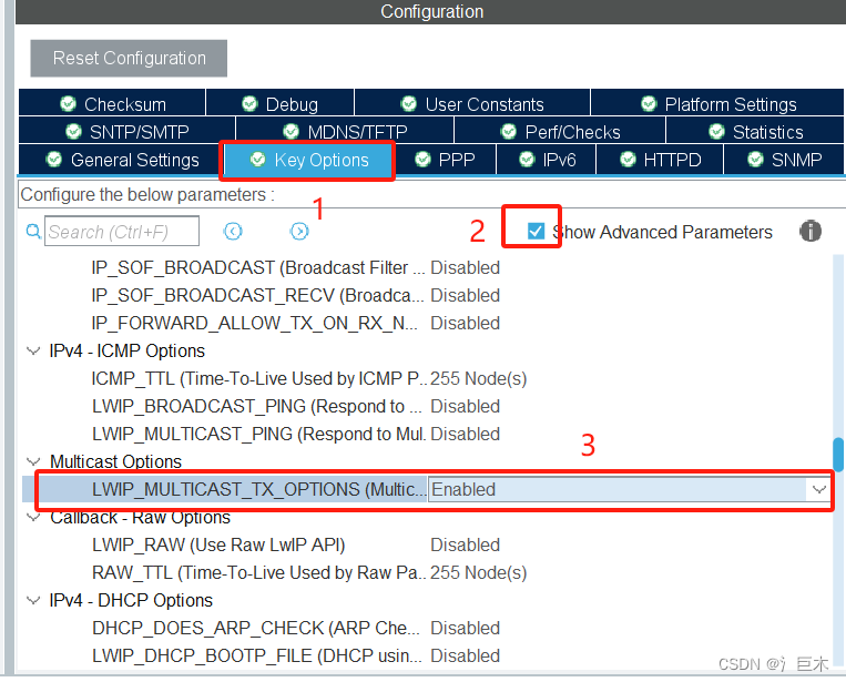 使用STM32Cube IDE 设置LWIP 使能IGMP_stm32cubeide使用lwip-CSDN博客