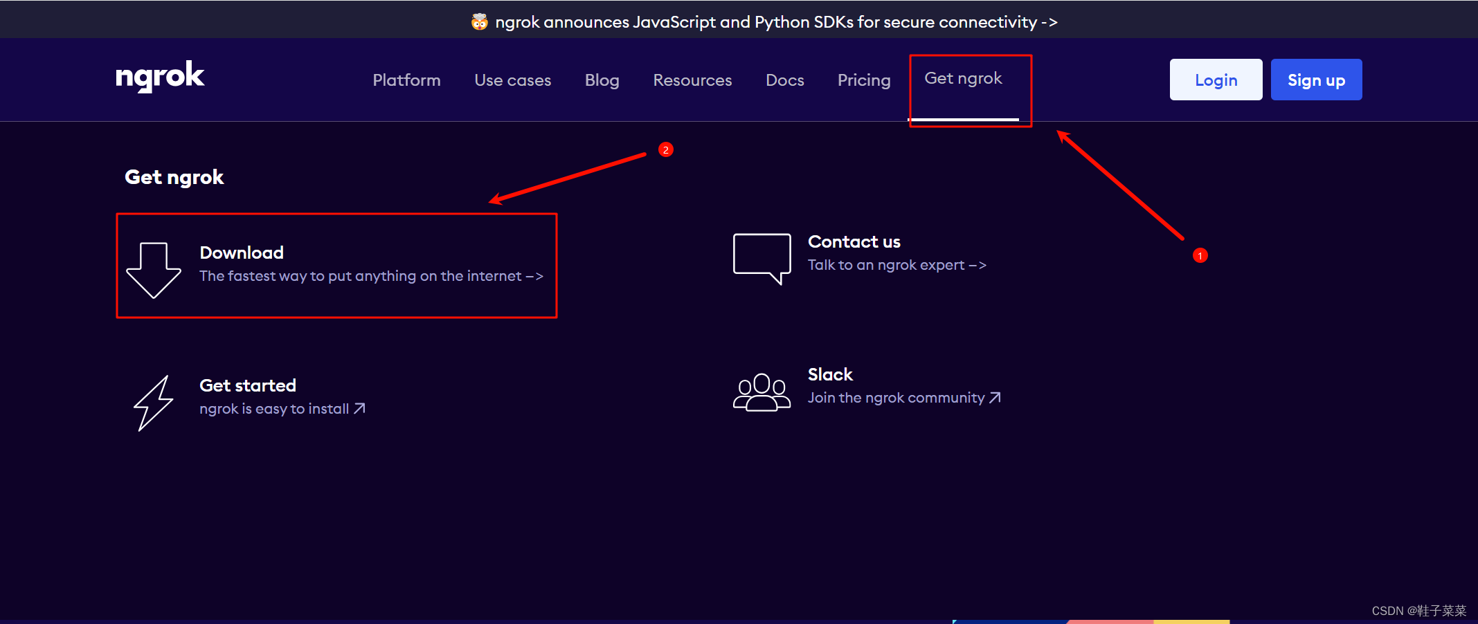 ngrok内网穿透，公网访问本地服务(Windows)_ngrok windows-CSDN博客