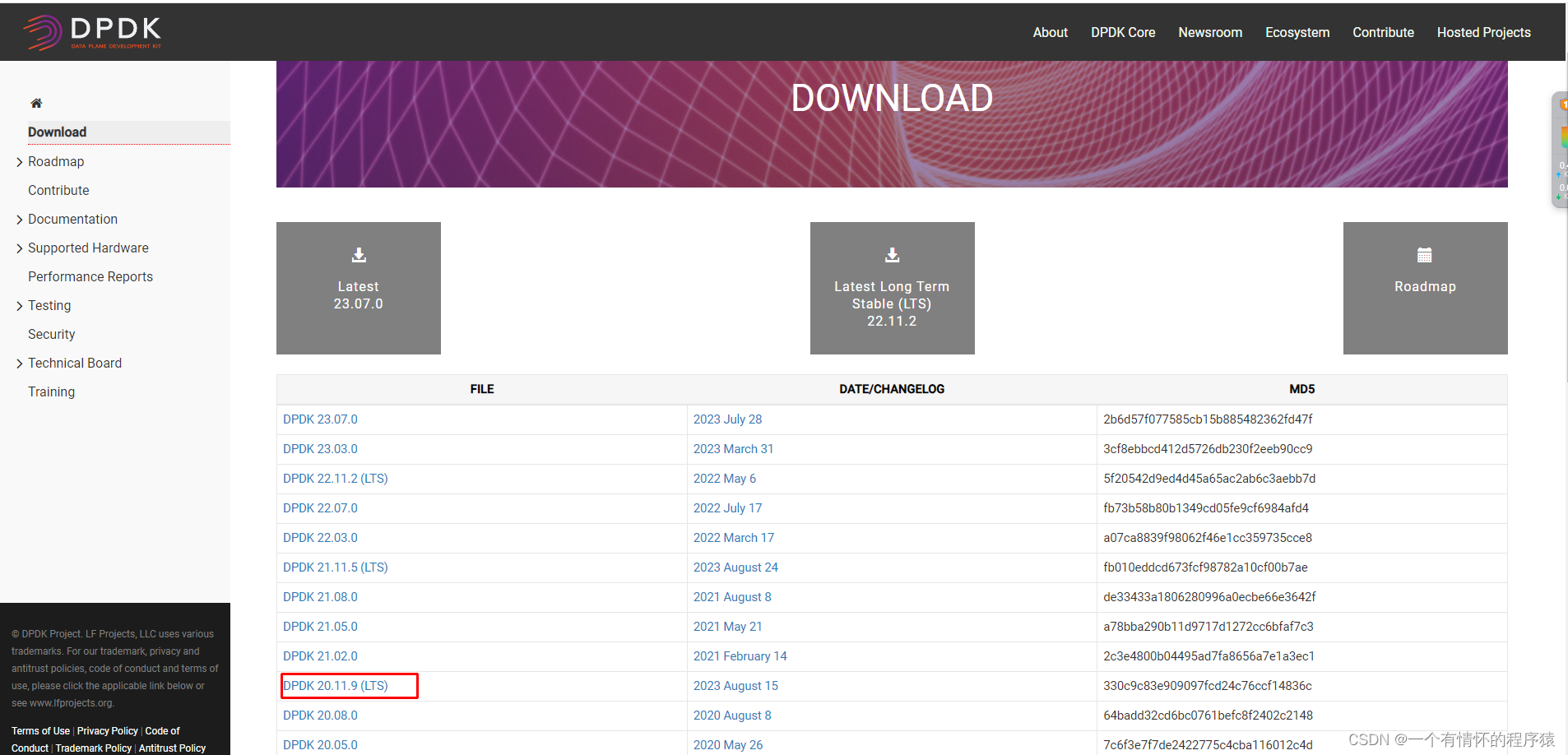 dpdk 20.11及以上编译运行指导（原创）_dpdk 20版本编译-CSDN博客