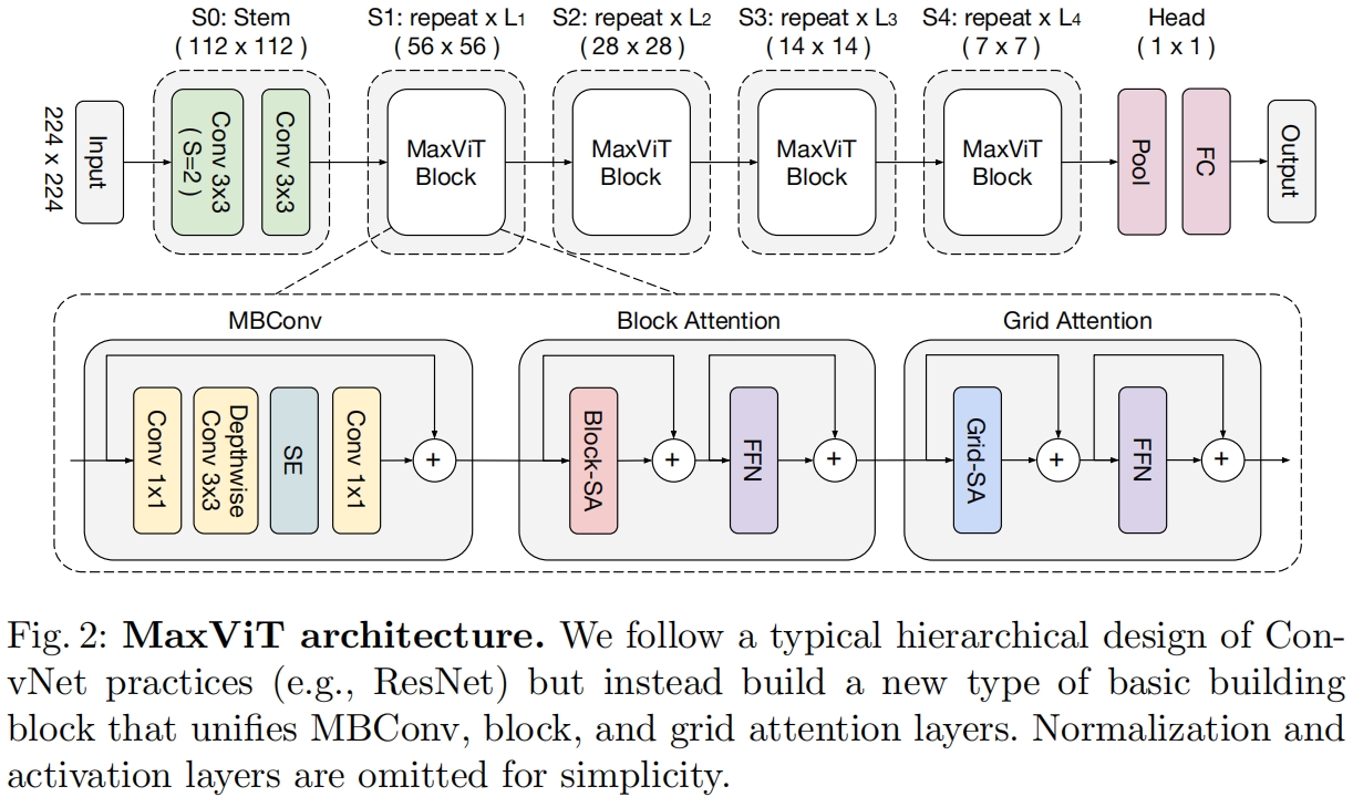MaxViT（ECCV 2022, Google）论文与代码解析_maxvit论文-CSDN博客