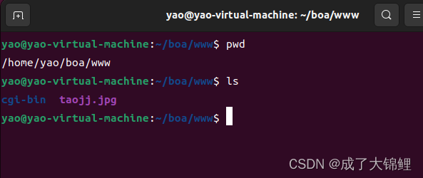 了解什么是CGI_cgi文件-CSDN博客