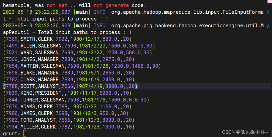 Hadoop大数据技术-pig操作-CSDN博客