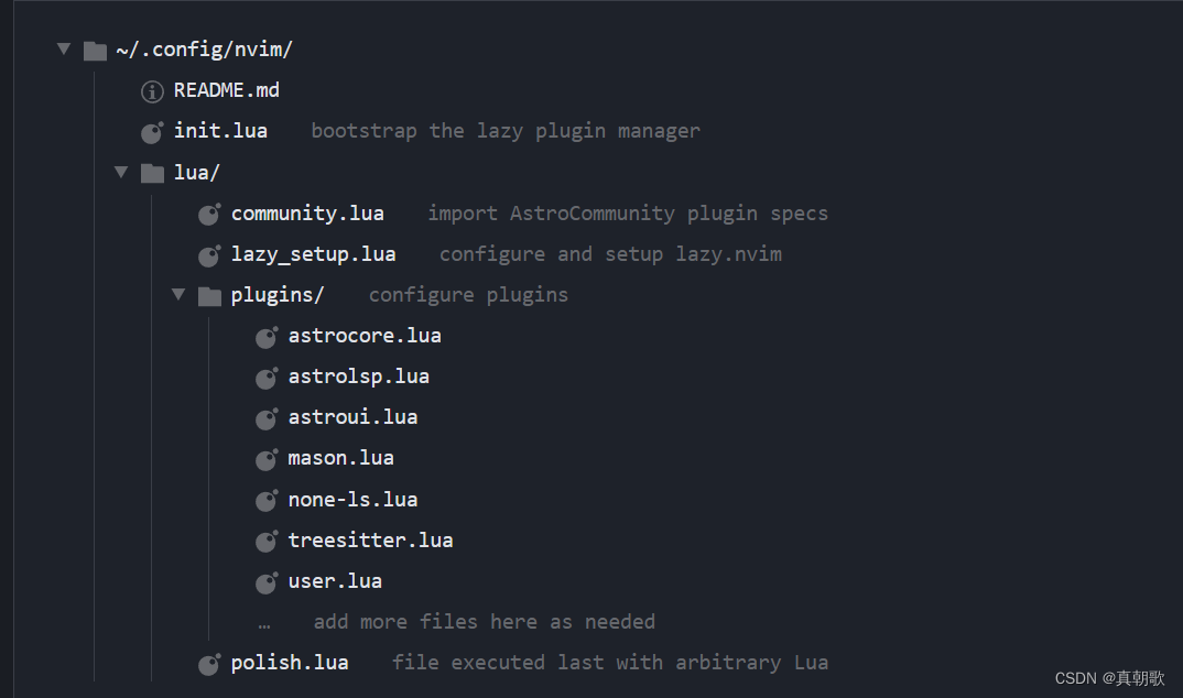 开发环境分享——AstroNvim（neovim的下载和Astronvim的配置）-CSDN博客