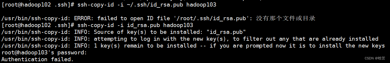 ssh免密登录报错:/usr/bin/ssh-copy-id: ERROR: failed to open ID file ‘/root/.pub‘: 没有那个文件或目录_ssh-copy ...
