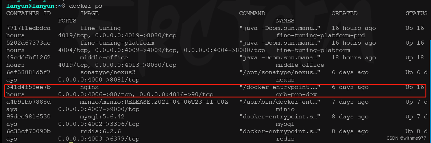 Linux用docker安装nginx And Nginx手动部署vue前端项目使用 Docker 下载 Nginx 部署 Vue项目 Csdn博客 3854