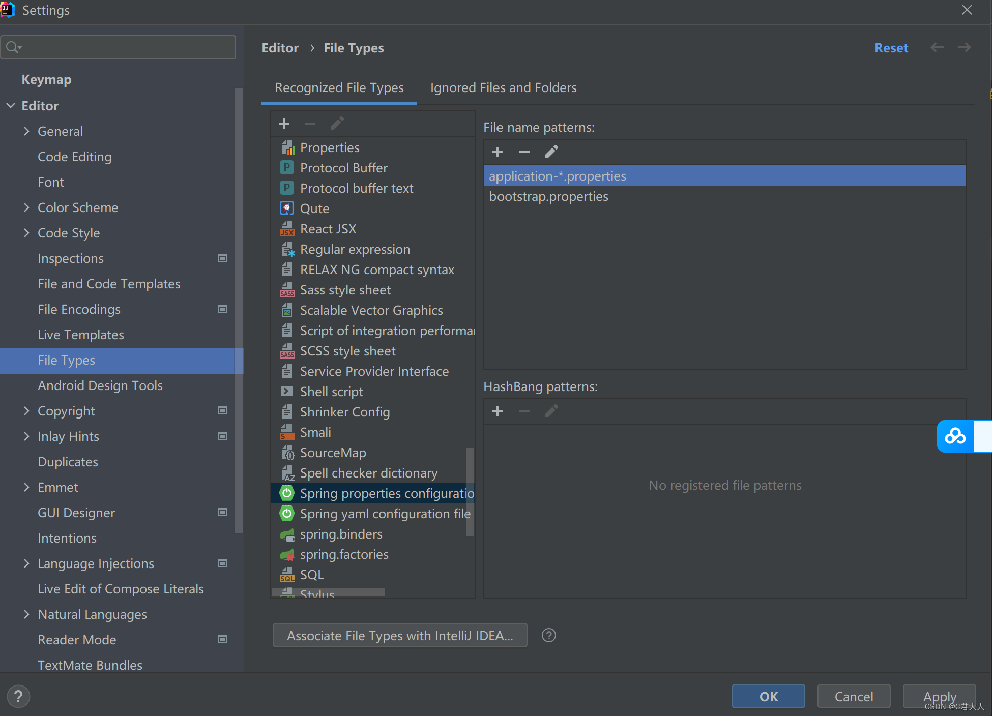 application.properties是开关按钮且无提示_application.properties叶子图标变成了开关-CSDN博客