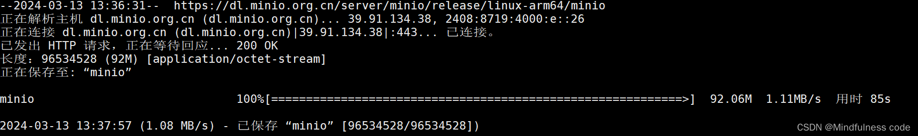 Kylin Server V10下安装配置MinIO_麒麟minio-CSDN博客