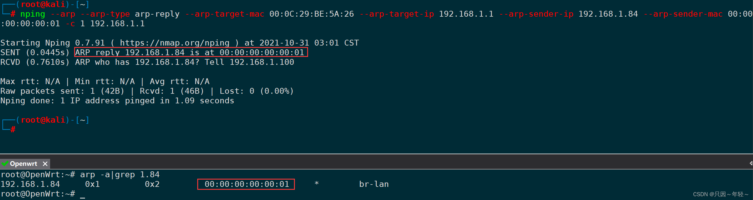 网络探测的中流砥柱-Nping使用_nping语法-CSDN博客