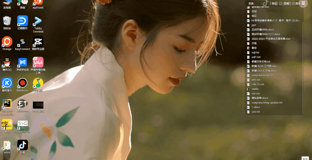 用Python爬取动态壁纸，桌面更香了！_动态壁纸api-CSDN博客