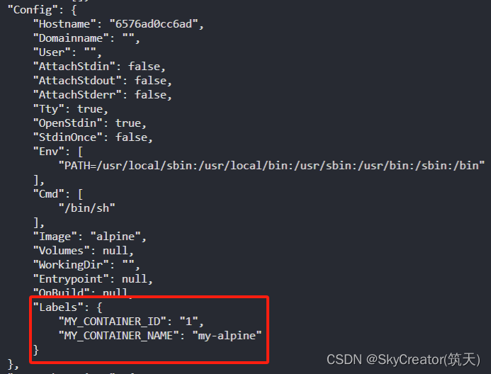 【Docker学习】docker run的标签相关选项（-l, –label, –label-file）_docker run label-CSDN博客