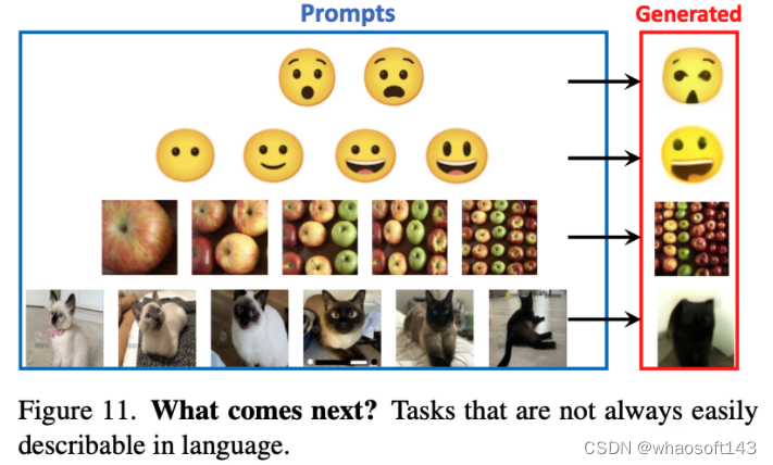 Large Vision Models-CSDN博客