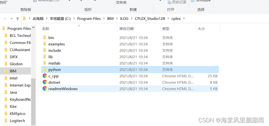 Python调用Cplex教程_cplex python-CSDN博客